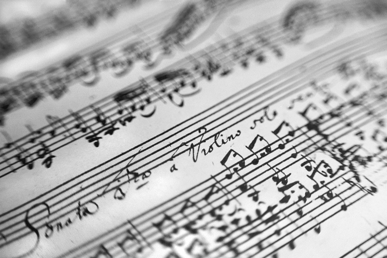 Sonata – The Classical Novice